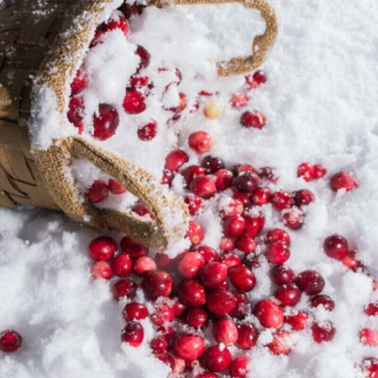 Aroomiõli Jõhvikas 20 ml-500 ml – Zinuz E-Pood